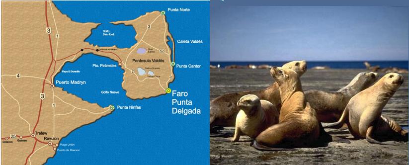 Al sur: Faro Punta Delgada, hotel de campo en Peninsula Valdéz